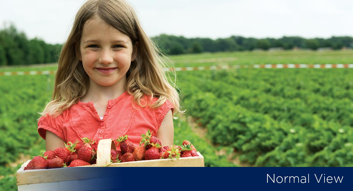 Vision Simulators - Eyecare Medical Group