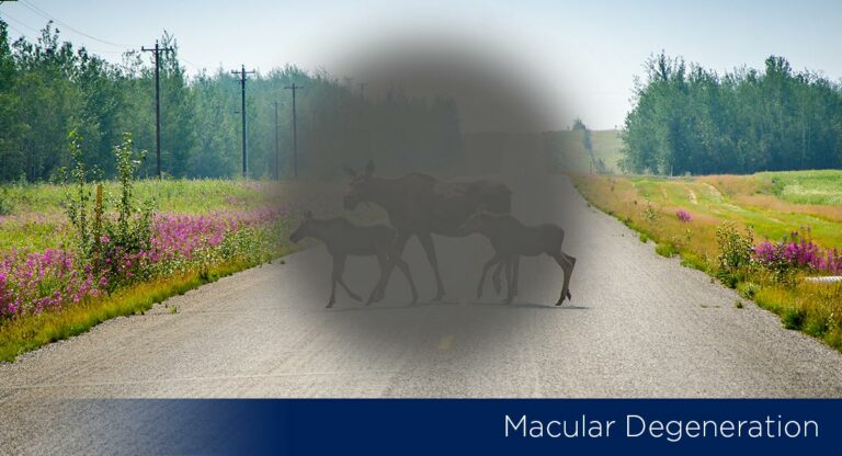 Vision Simulators - Eyecare Medical Group